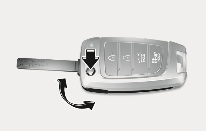 Remote key