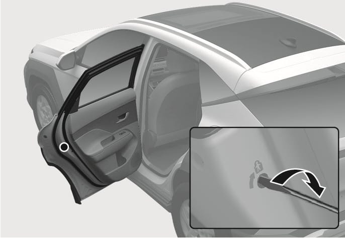 Child-protector rear door locks