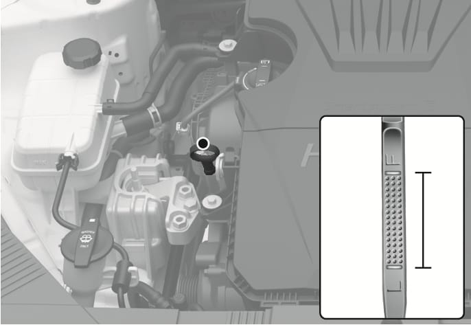 Checking the engine oil level