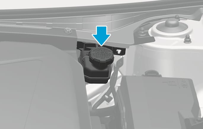 Checking the Brake Fluid Level