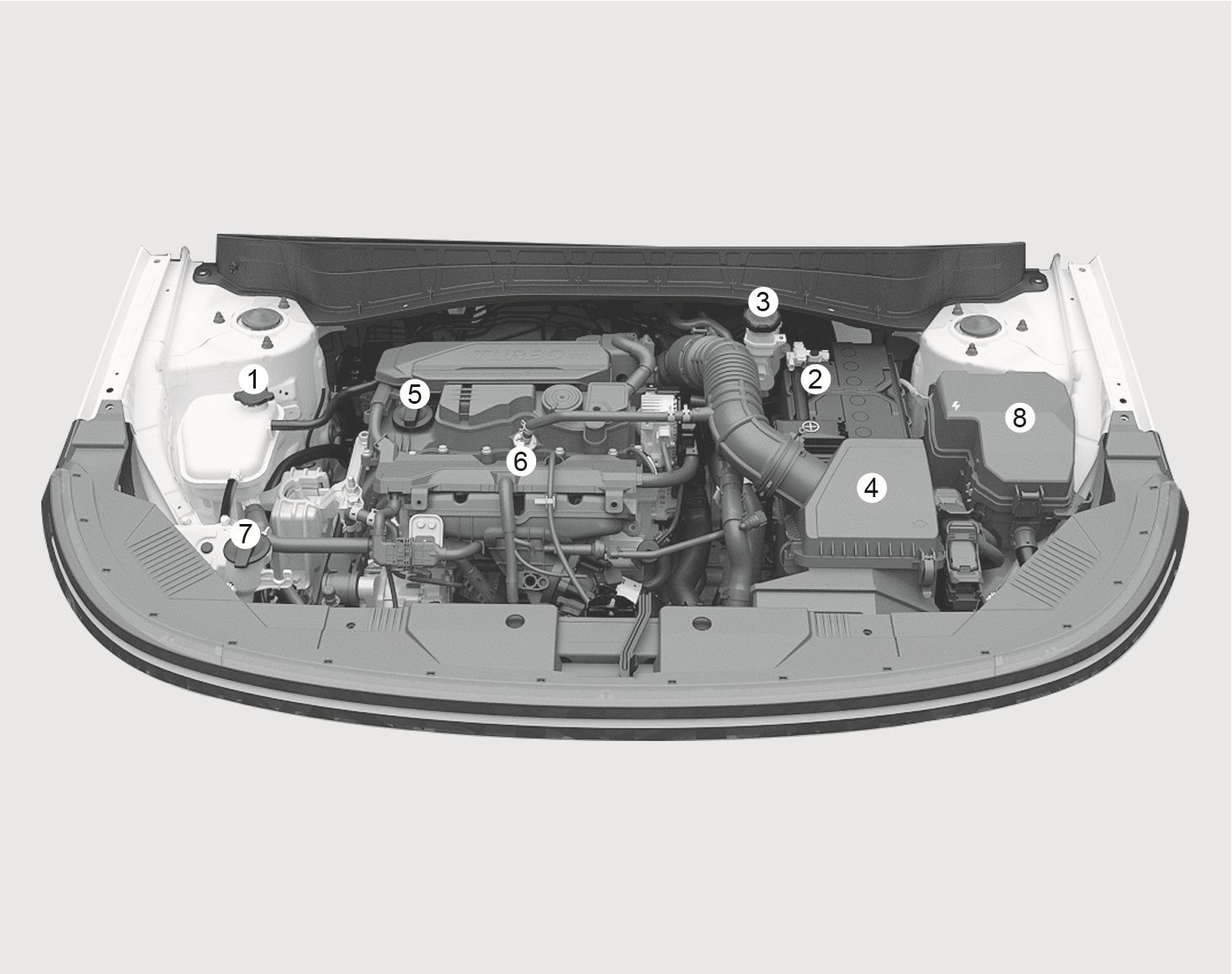 Engine compartment